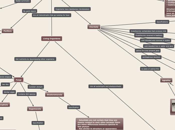 Living Organisms - Concept Map
